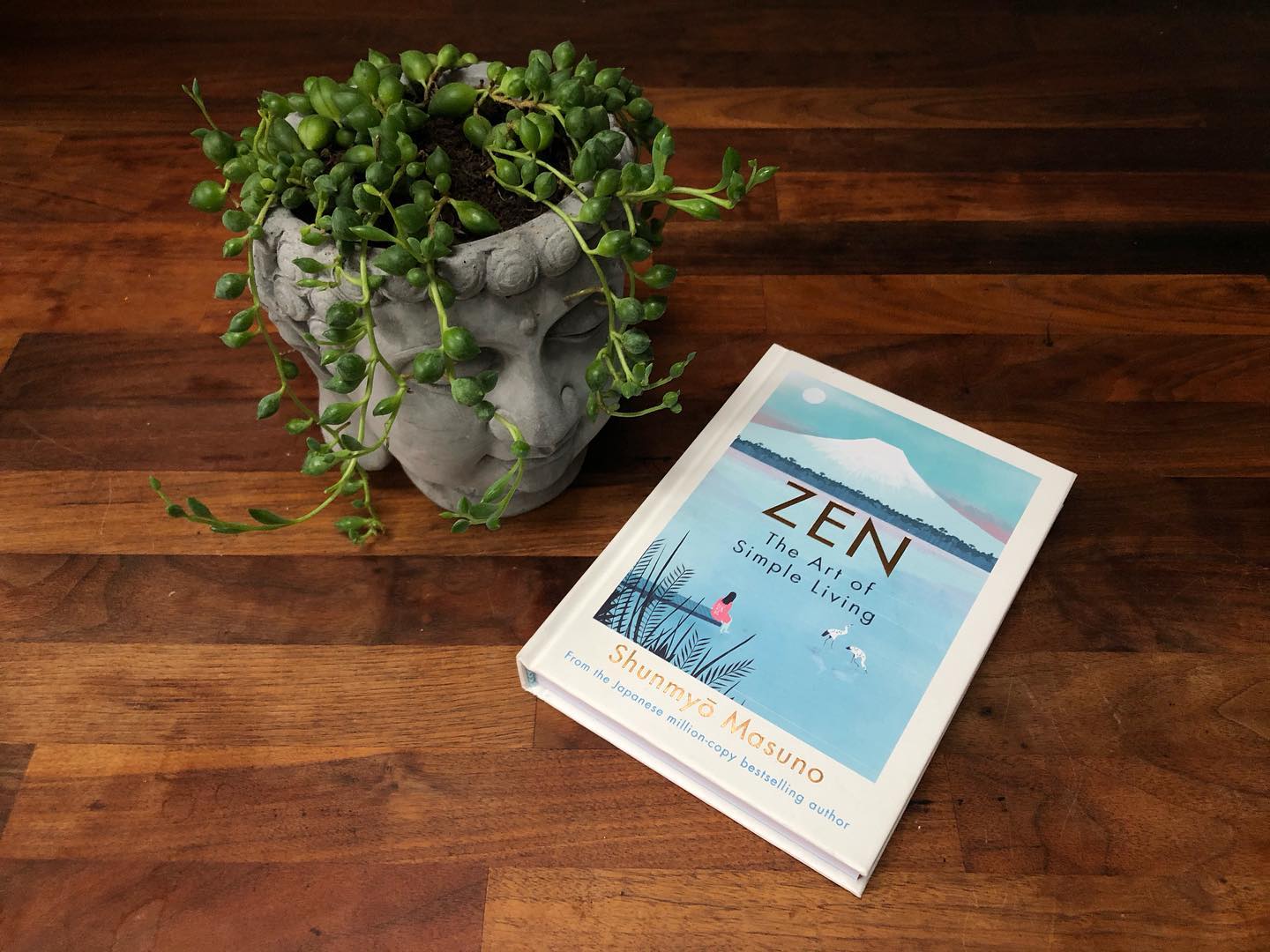Zen and the art of self-isolation – The Chi Gardener
